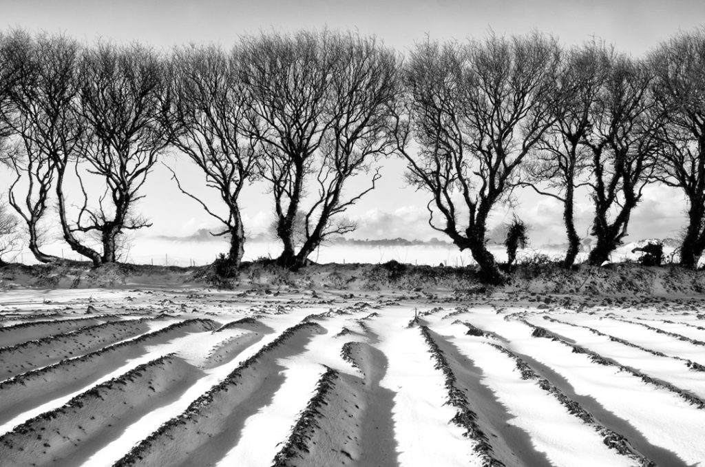 Lucie Averill – Landscape Photographer, Cornwall